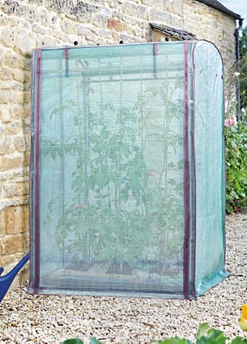 Smart Garden Tomato GroZone Max - Double Sided | bonprix