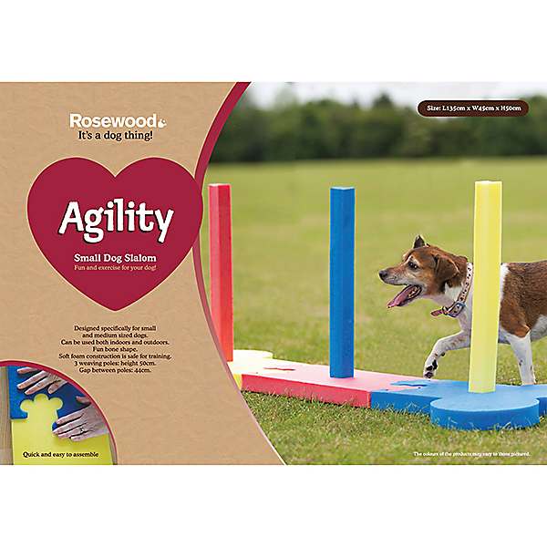 Dog Agility Jumps Australia