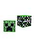 Minecraft Survival Pack of 2 Storage Boxes | bonprix